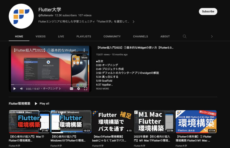【2024年版】Flutterの効率的な勉強法！具体的な手順を解説｜TERUPRO